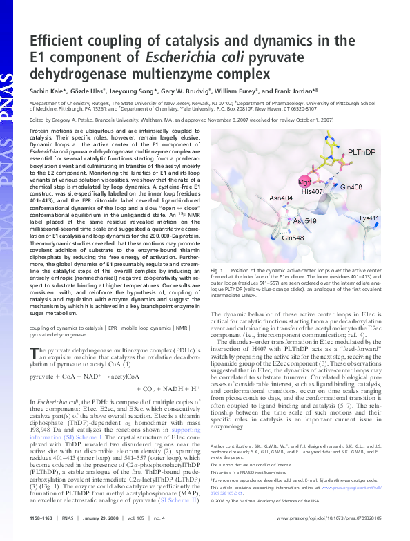 (PDF) Efficient coupling of catalysis and dynamics in the E1 component of Escherichia coli ...