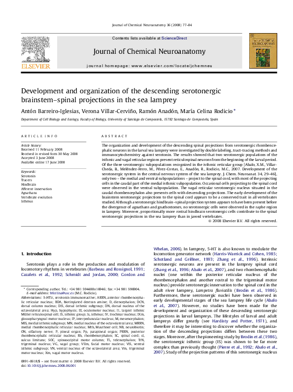(PDF) Serotonergic Projections in Sea Lamprey Brain