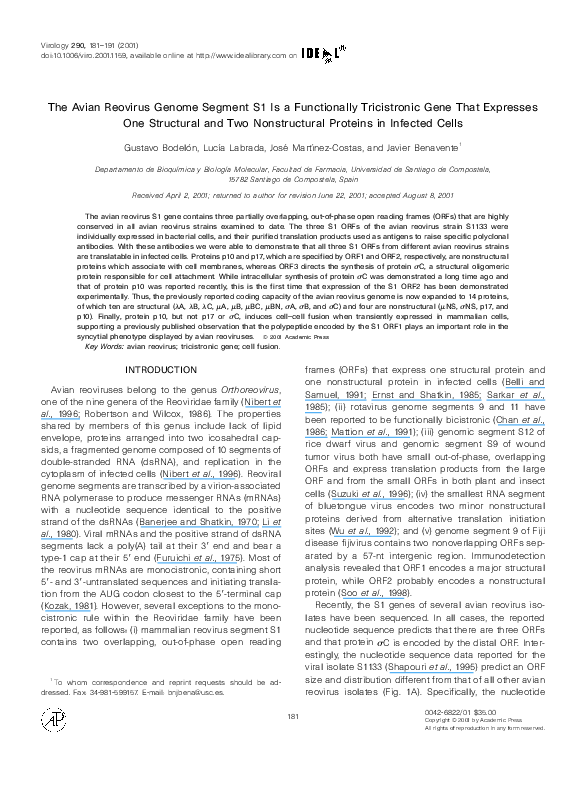 (PDF) The avian reovirus genome segment S1 is a functionally ...