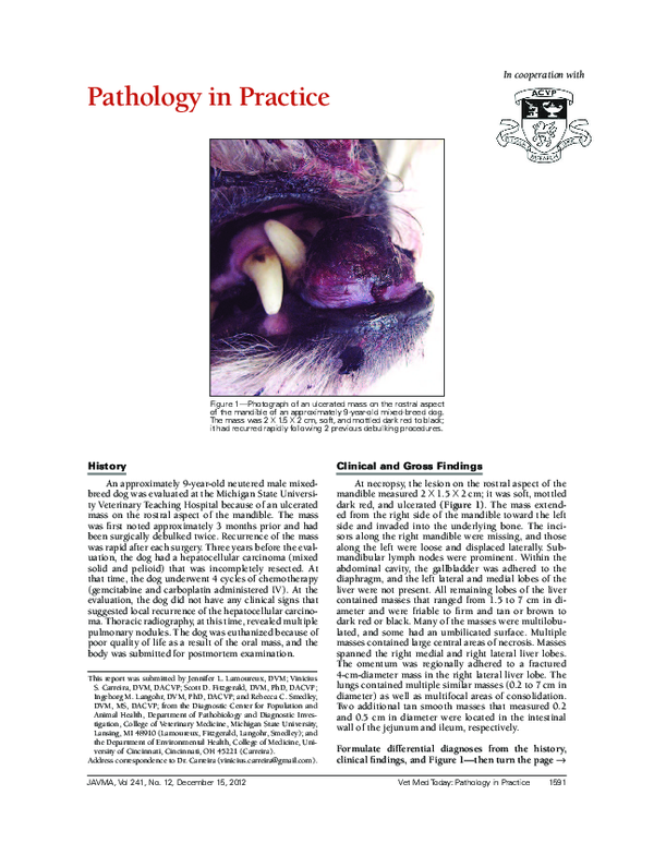 (PDF) Pathology in Practice