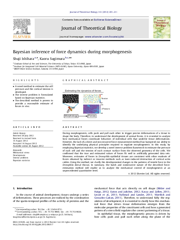 (PDF) Bayesian inference of force dynamics during morphogenesis