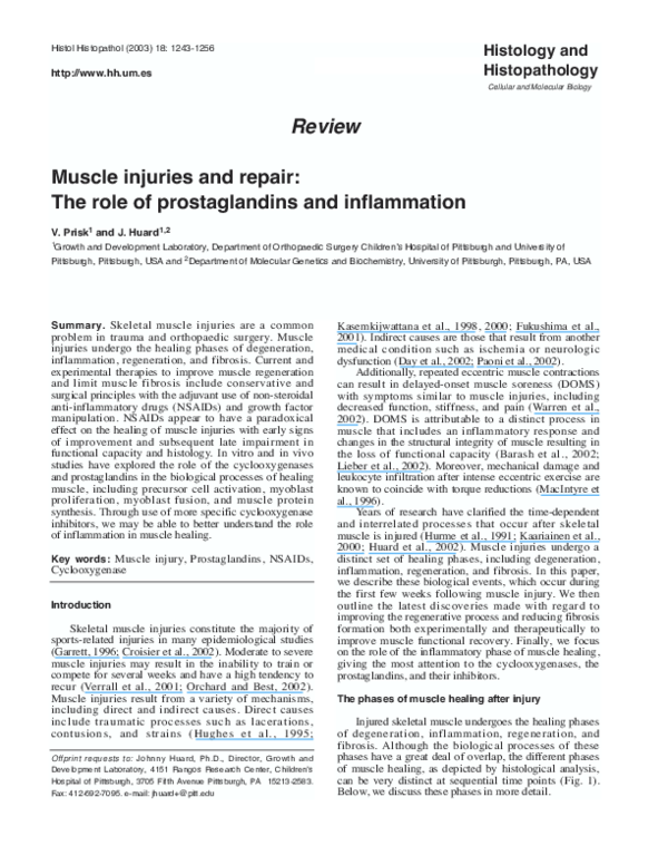 (PDF) Muscle injuries and repair: The role of prostaglandins and ...