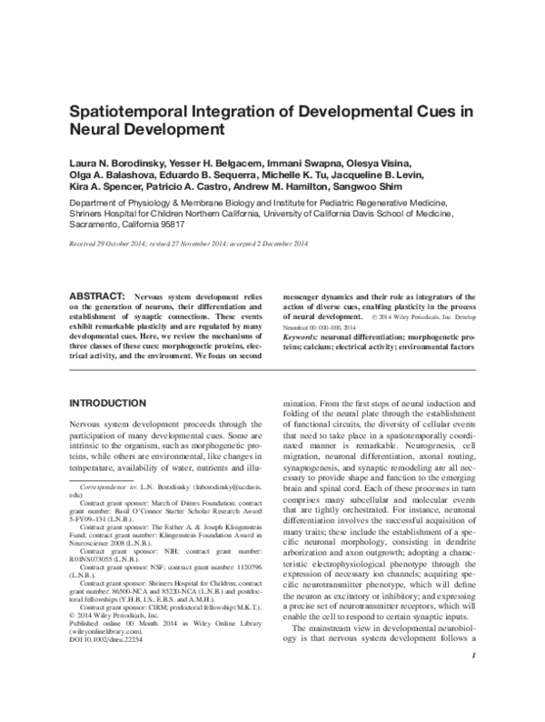 (PDF) Spatiotemporal integration of developmental cues in neural ...