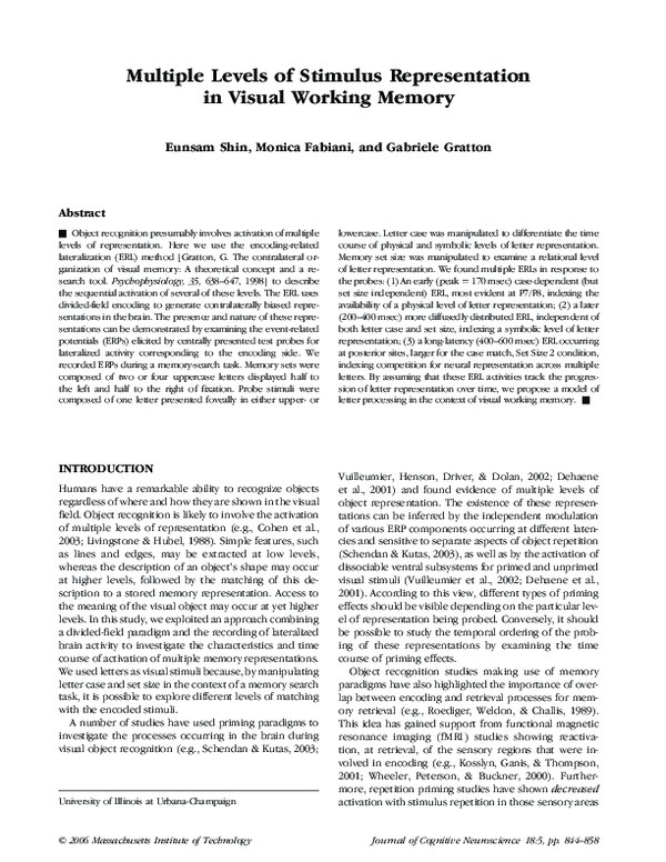 Pdf Multiple Levels Of Stimulus Representation In Visual Working Memory