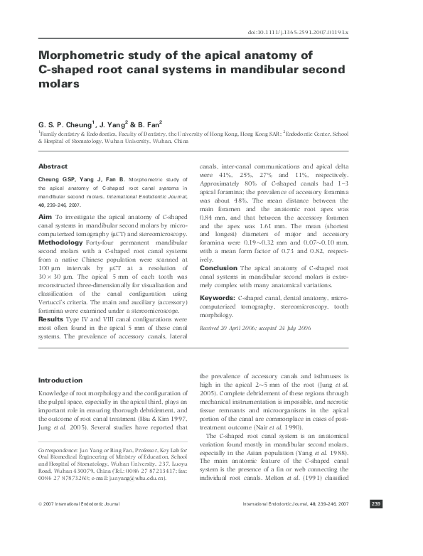 (PDF) Morphometric study of the apical anatomy of C-shaped root canal ...