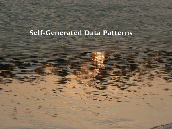 (PDF) Self-Generated Data Patterns