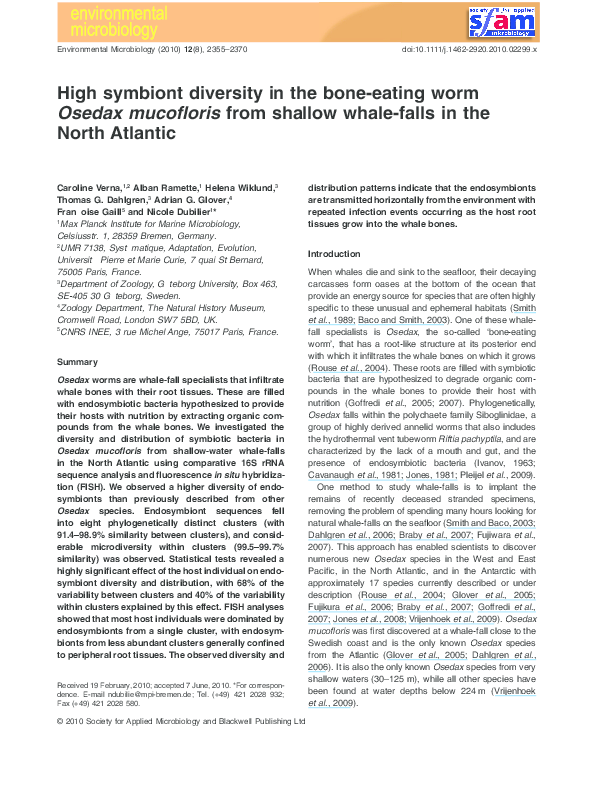 High symbiont diversity in the bone eating worm Osedax mucofloris from ...