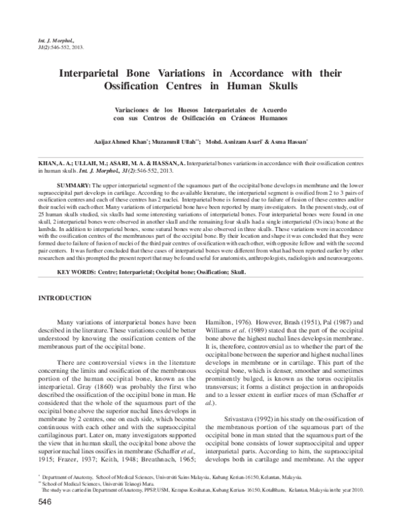 (PDF) Interparietal bone - Published