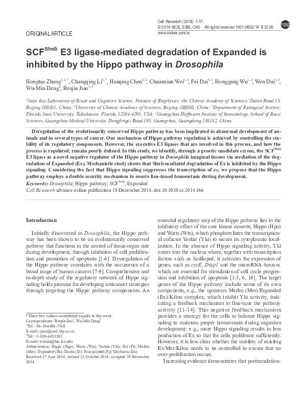 (PDF) SCF(Slmb) E3 ligase-mediated degradation of Expanded is inhibited ...