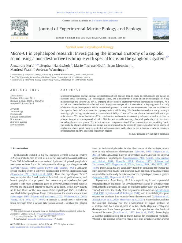 (PDF) Micro-CT in cephalopod research: Investigating the internal ...