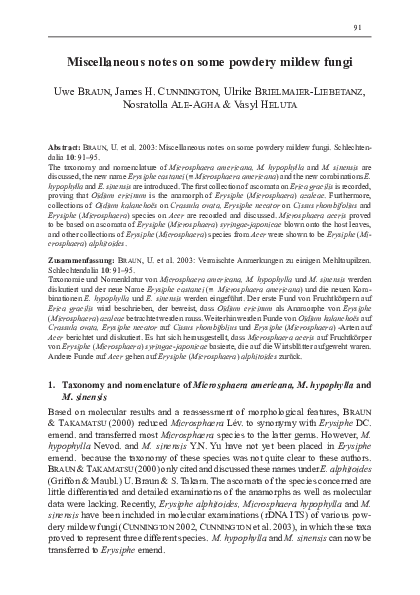 (PDF) Notes on two powdery mildew fungi (Erysiphe magnifica and E ...
