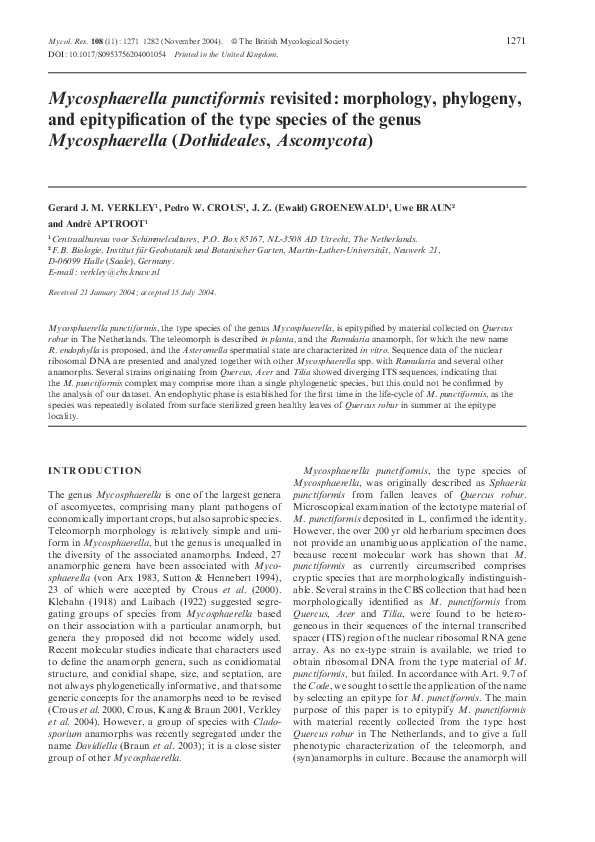 (PDF) Mycosphaerella punctiformis revisited: morphology, phylogeny, and ...