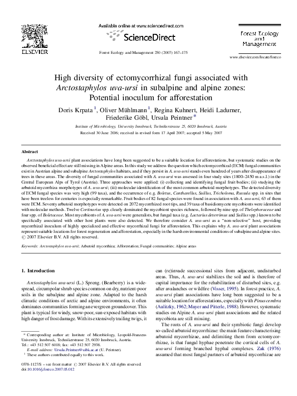 (PDF) High diversity of ectomycorrhizal fungi associated with ...