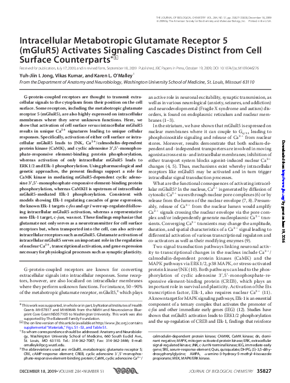 (PDF) Intracellular metabotropic glutamate receptor 5 (mGluR5 ...