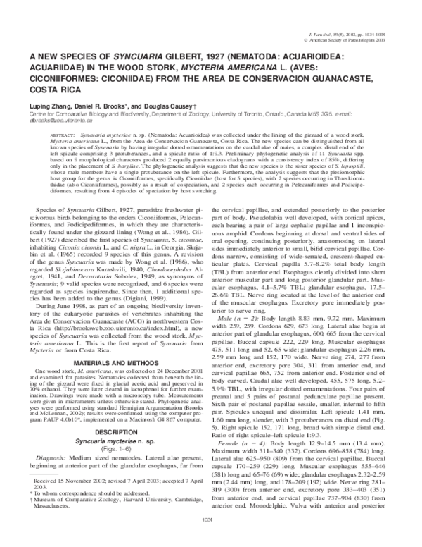(PDF) A NEW SPECIES OF SYNCUARIA GILBERT, 1927 (NEMATODA: ACUARIOIDEA ...