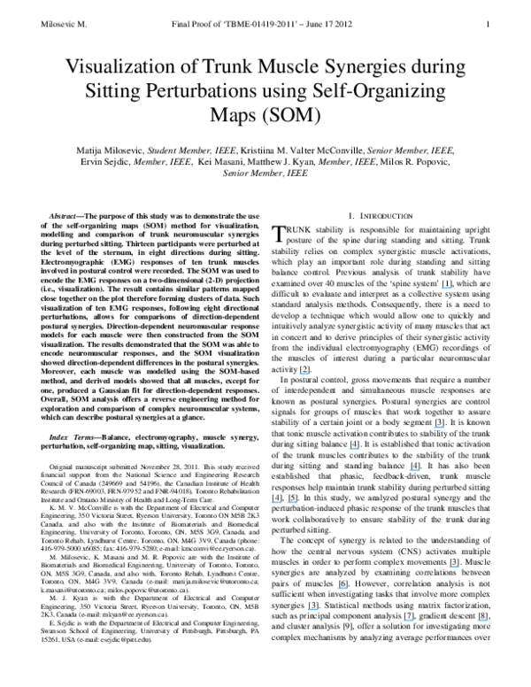 (PDF) Visualization of Trunk Muscle Synergies During Sitting ...