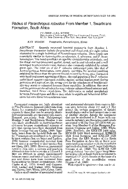 (PDF) Radius ofParanthropus robustus from member 1, Swartkrans ...