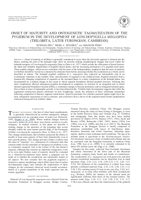 (PDF) Onset of Maturity and Ontogenetic Tagmatization of the Pygidium ...