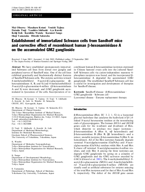 (PDF) Neuroimaging findings of four patients with Sandhoff disease | C ...