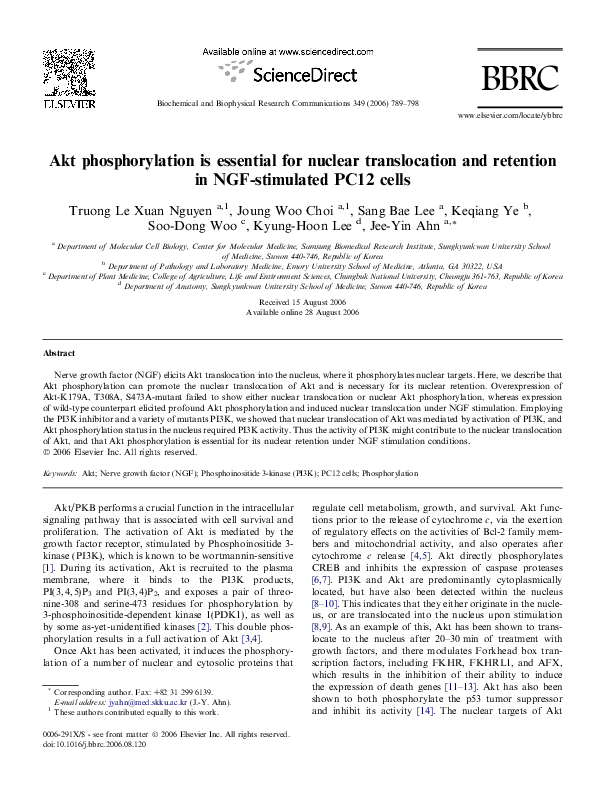 (PDF) Akt phosphorylation is essential for nuclear translocation and ...