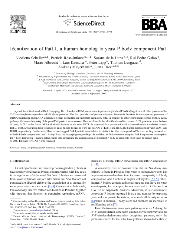 (PDF) Identification of PatL1, a human homolog to yeast P body ...