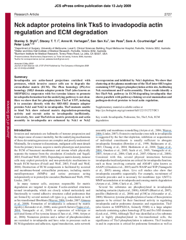 (PDF) Nck adaptor proteins link Tks5 to invadopodia actin regulation ...