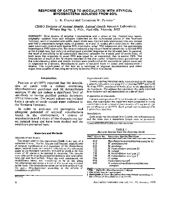 (PDF) Response of Cattle to Inoculation with Atypical Mycobacteria ...