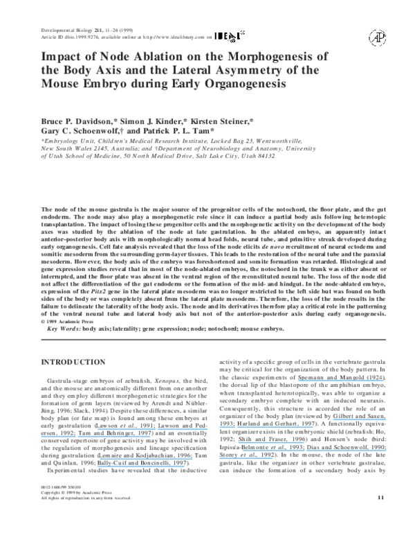 (PDF) Node Ablation Effects on Mouse Body Axis Morphogenesis