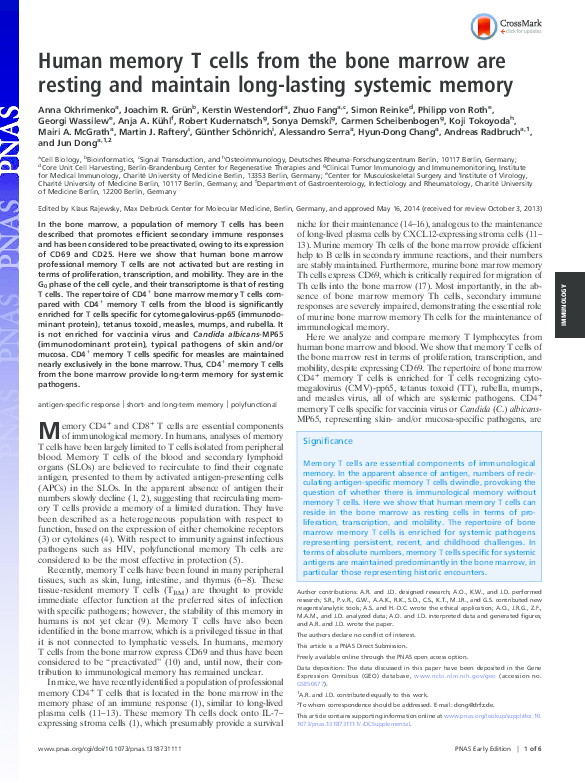 (PDF) Human memory T cells from the bone marrow are resting and ...