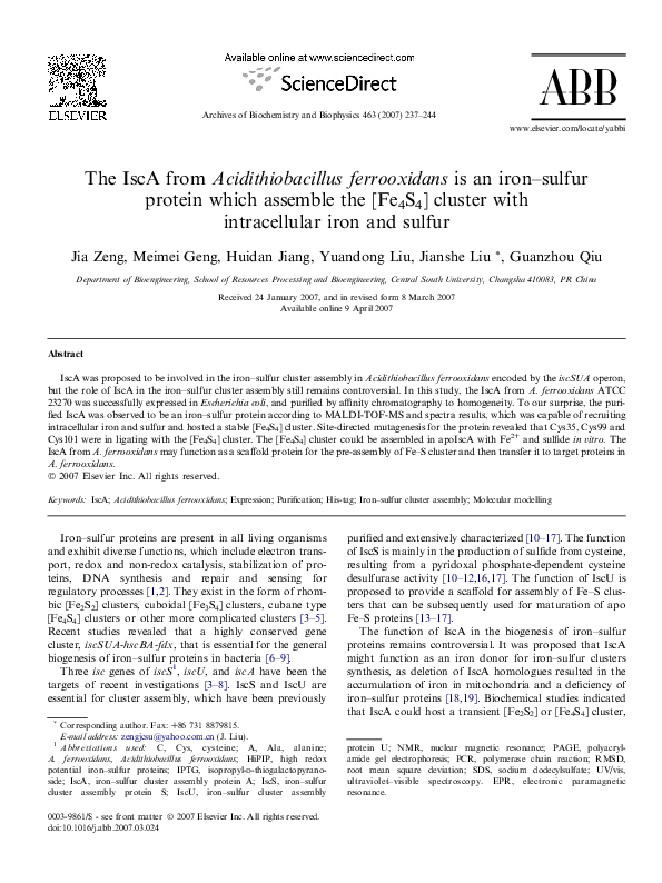 (PDF) The IscA from Acidithiobacillus ferrooxidans is an iron-sulfur ...