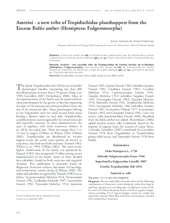 (PDF) Austrini - a new tribe of Tropiduchidae planthoppers from the ...