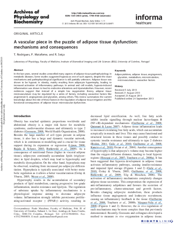 (PDF) A vascular piece in the puzzle of adipose tissue dysfunction ...
