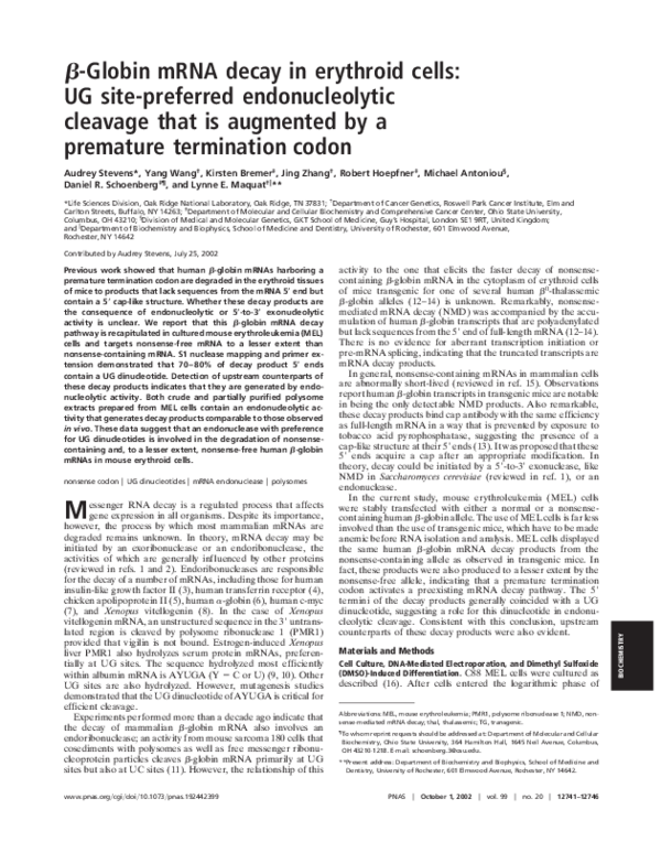 (PDF) -Globin mRNA decay in erythroid cells: UG site-preferred ...