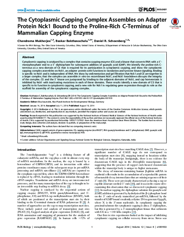 (PDF) The Cytoplasmic Capping Complex Assembles on Adapter Protein Nck1 ...