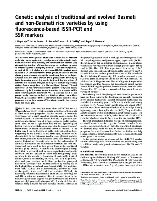 (PDF) Genetic analysis of traditional and evolved Basmati and non ...