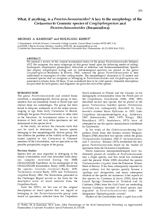 What, if anything, is a Paratrochamminoides? A key to the morphology of ...