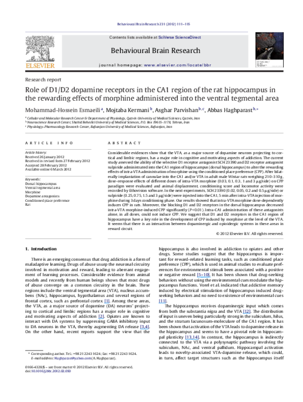 (PDF) Role of D1/D2 dopamine receptors in the CA1 region of the rat hippocampus in the rewarding ...