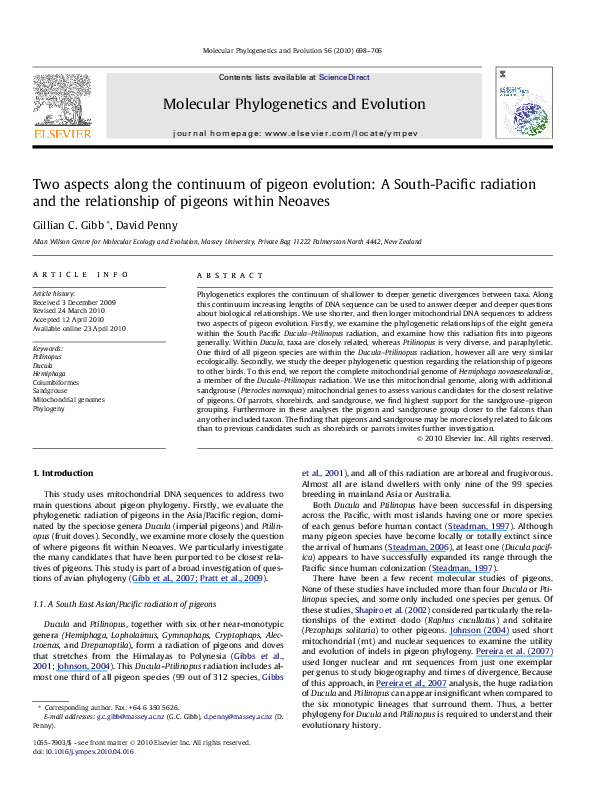 (PDF) Two aspects along the continuum of pigeon evolution: A South ...