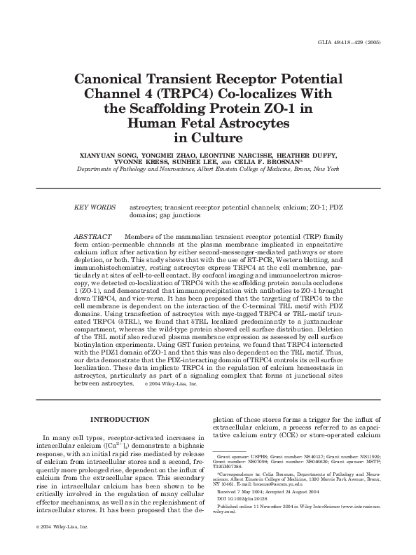 (PDF) Canonical transient receptor potential channel 4 (TRPC4) co-localizes with the scaffolding ...