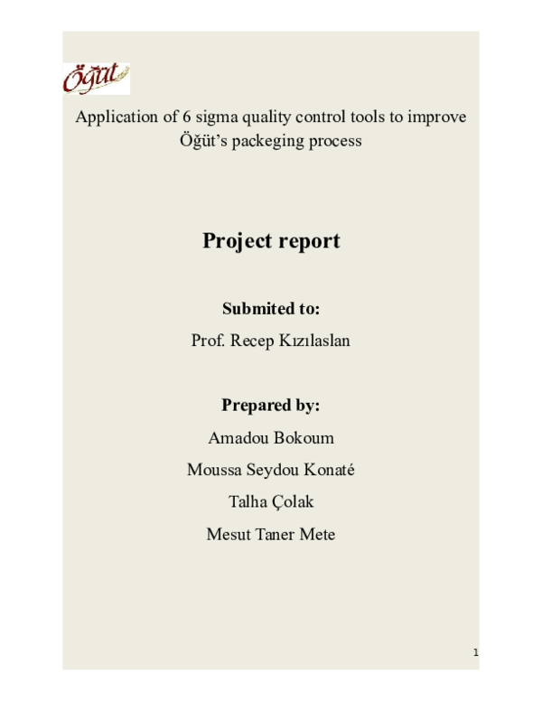 (DOC) Project report