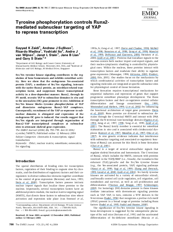(PDF) Tyrosine phosphorylation controls Runx2-mediated subnuclear targeting of YAP to repress ...