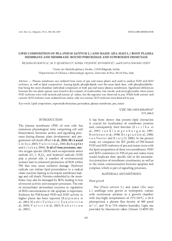 (PDF) Lipid composition of pea (Pisum sativum L.) and maize (Zea mays L.) root plasma membrane ...