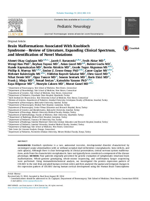 (PDF) Brain Malformations Associated With Knobloch Syndrome—Review of ...
