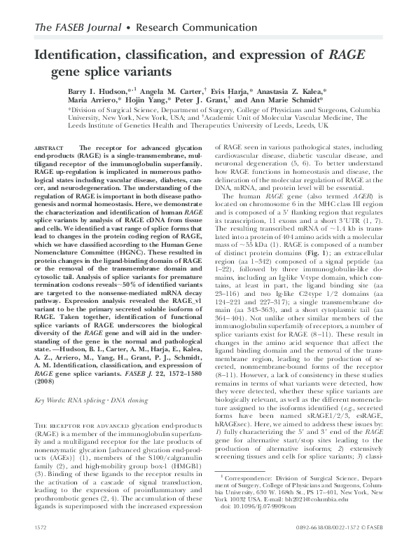 (PDF) Identification, classification, and expression of RAGE gene ...