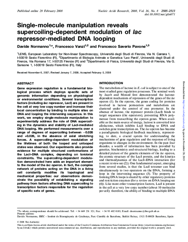 (PDF) Single-molecule manipulation reveals supercoiling-dependent modulation of lac repressor ...