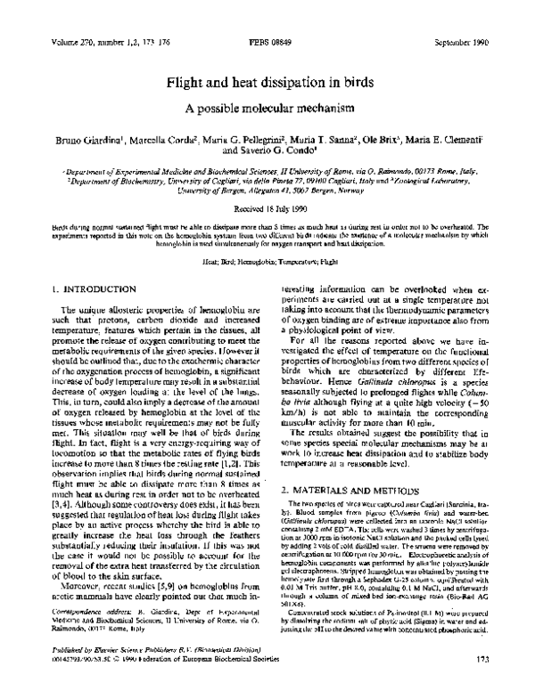 (PDF) Flight and heat dissipation in birds