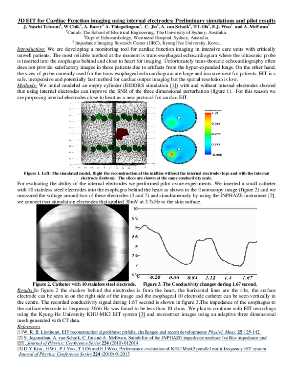Pdf 3d Eit For Cardiac Function Imaging Using Internal Electrodes