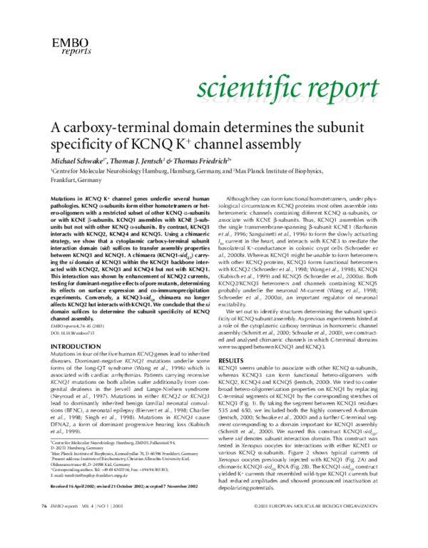 A carboxy-terminal domain determines the subunit specificity of KCNQ K ...