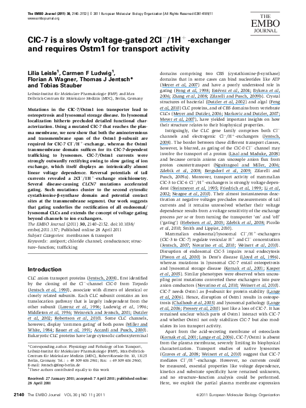 (PDF) ClC-7 is a slowly voltage-gated 2Cl(-)/1H(+)-exchanger and ...