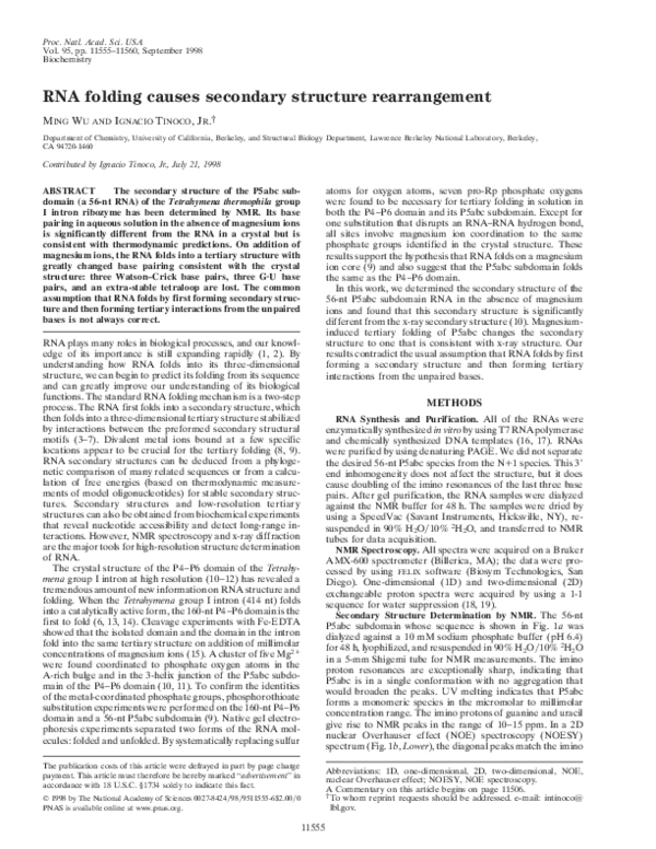 (PDF) RNA Folding Causes Secondary Structure Rearrangement